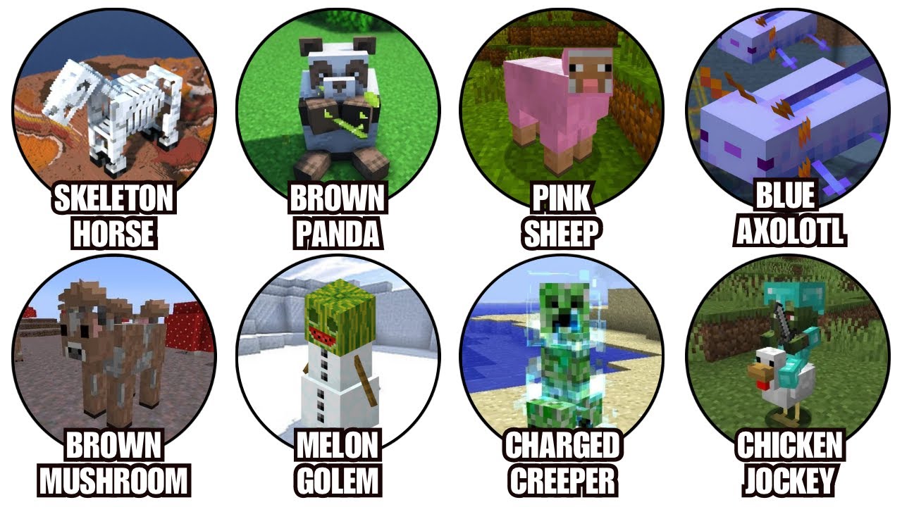 Every Rare Minecraft Mob Variant Explained in 9 Minutes