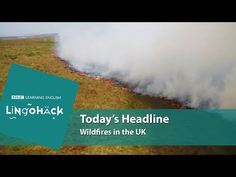 Today's words and phrases: smoulder, wildfires, smoky, plume, drifting