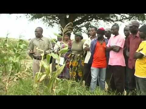 Conservation Agriculture in Zambia