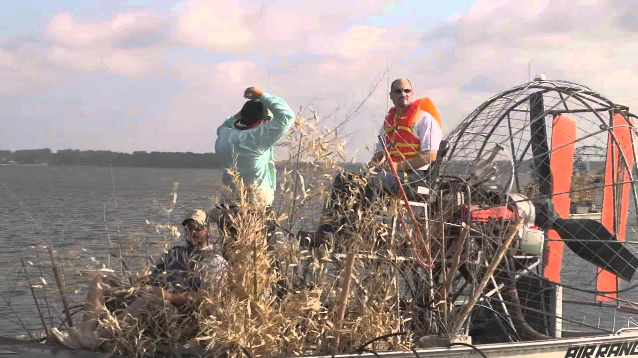 San Jacinto River Authority partners on Habitat enhancement program on Lake Conroe