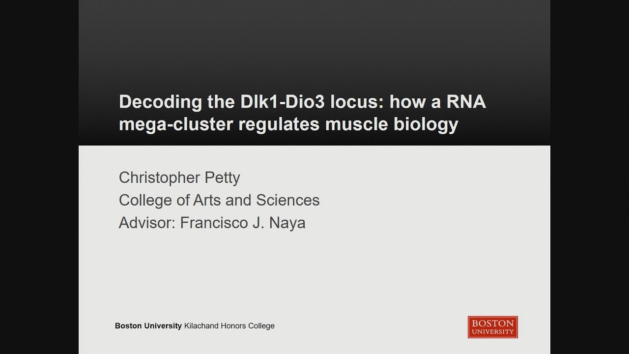 Christopher Petty: Decoding the Dlk1-Dio3 Locus: How a RNA Mega-Cluster Regulates Muscle Biology