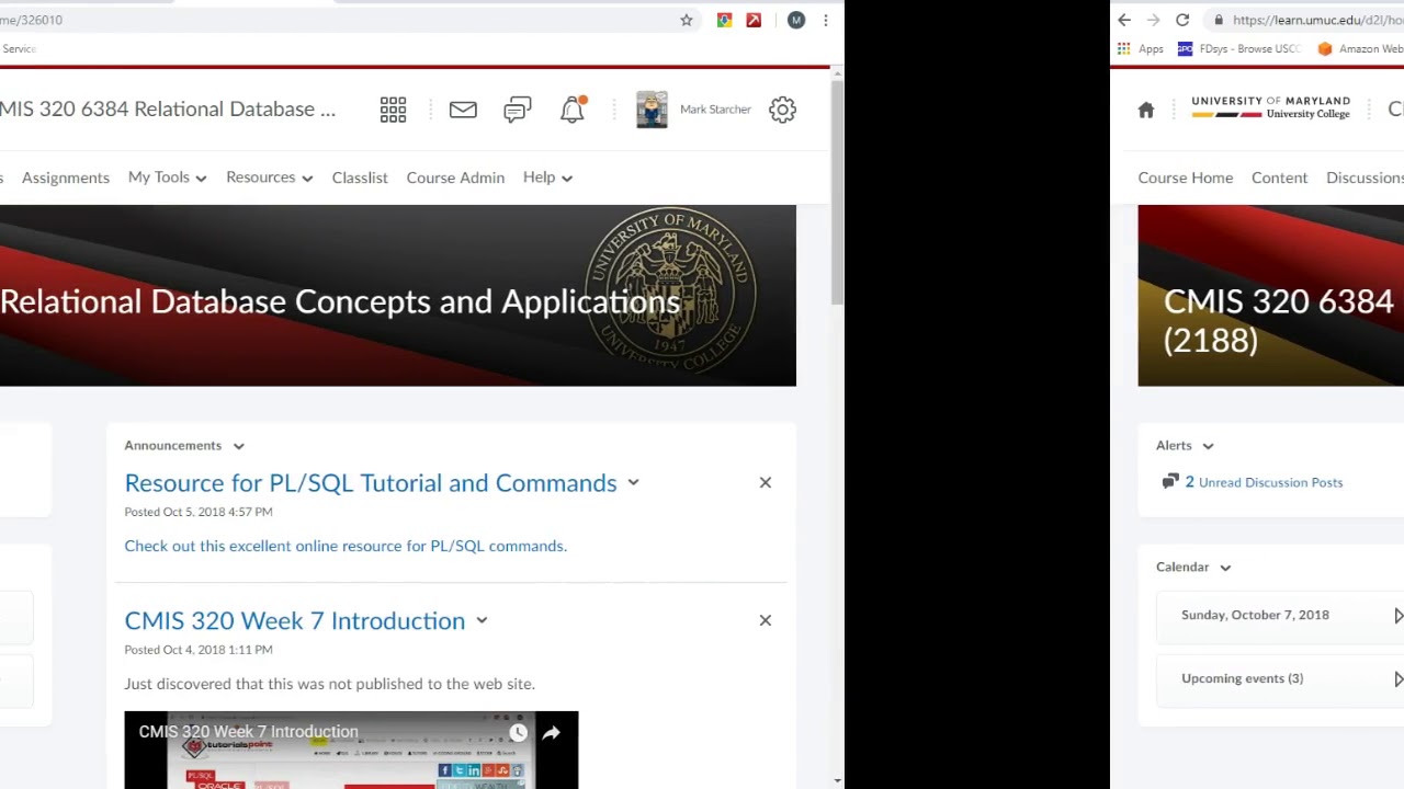 CMIS 320  Week 8 Introduction