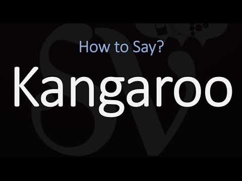 How to Pronounce Kangaroo? (CORRECTLY) Meaning & Pronunciation