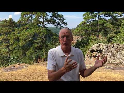 Intro to executive coaching services