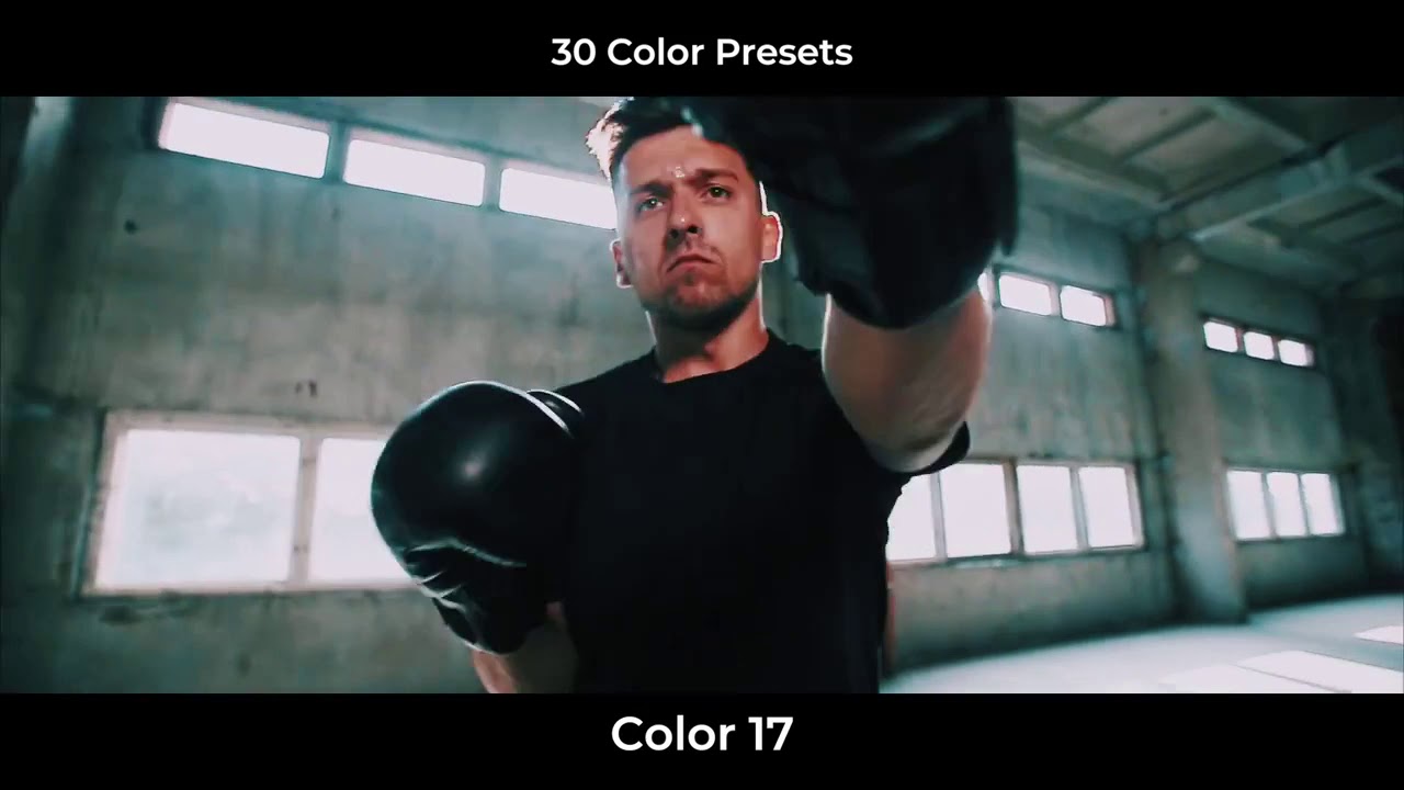 30 Color Presets | Premiere Pro Presets - Motion Array