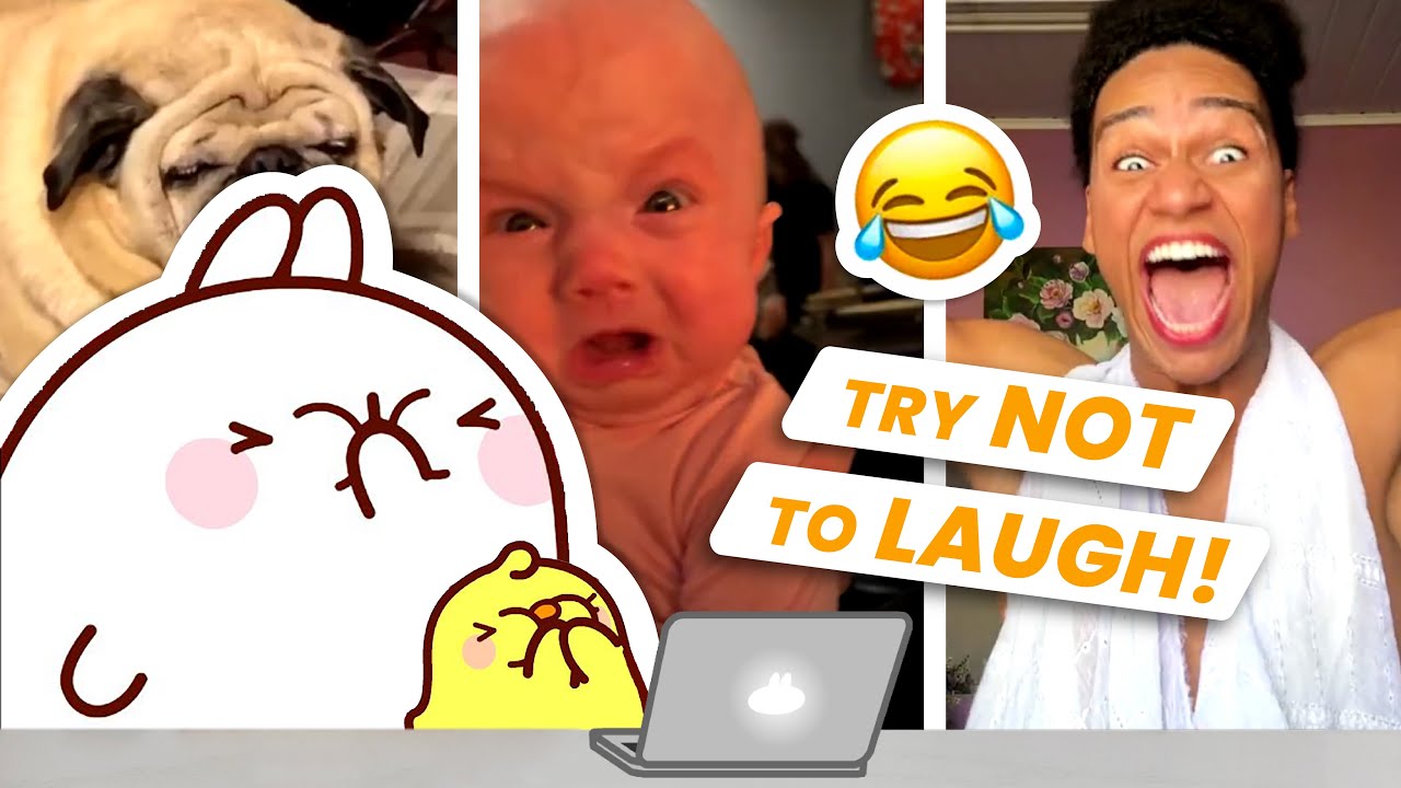 Molang and Piu Piu Try Not To Laugh Challenge | If you laugh you lose 🤣