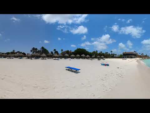Tamarijn Eagle Beach Aruba 01