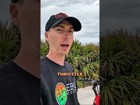 48 lb Ebike with Sensor Swapping: Velotric Breeze 1