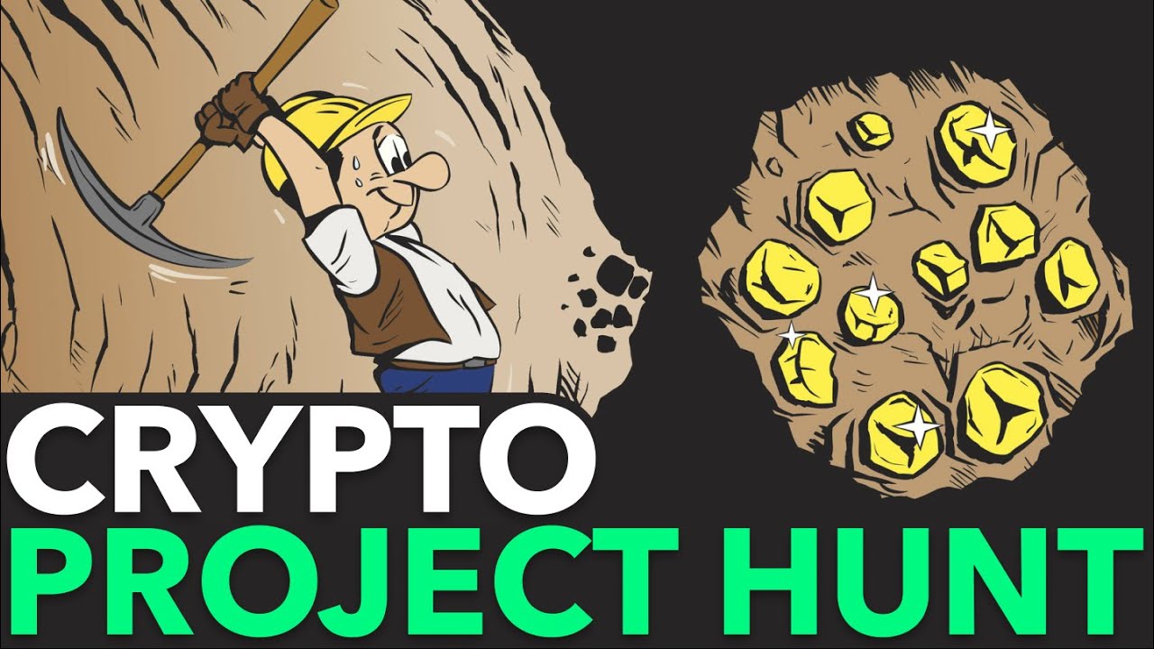 Discover Alpha Crypto Projects: How to Find the Next Big Thing Using Social Media