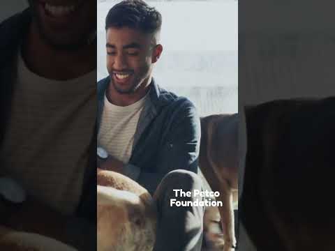2 Popular Pet Adoption websites to consider.#shortsvideo #shorts #short