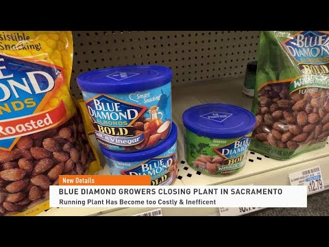 Blue Diamond Growers Plans to Close Historic Plant