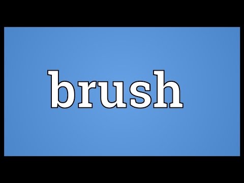 Brush Meaning