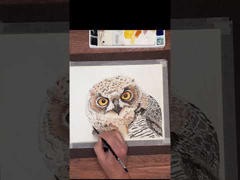 Owl Watercolor Timelapse – From Painting to Art Prints, Canvas Totes & More #wildlifeart #shorts