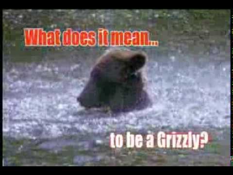 The Definition of a Grizzly