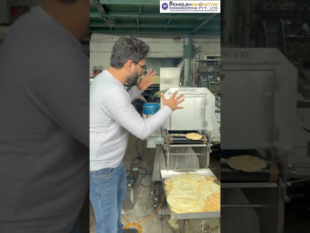 Automatic Snacks Frying Machine - papad fryer machine Manufacturer from ...