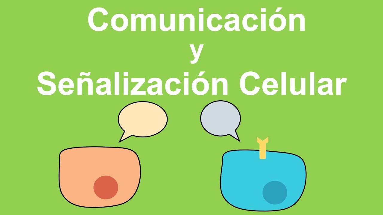 Cell communication and signaling: Autocrine, paracrine, juxtacrine, endocrine.