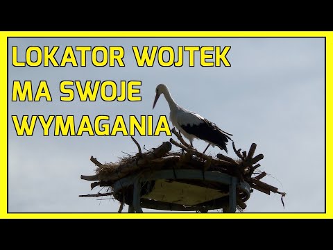 LEGNICA/RACZKOWA. Gniazdo pod klucz