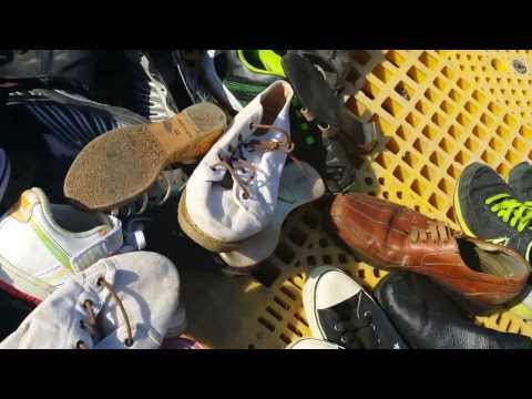 GB Shoes 2