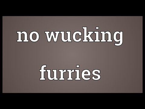 No wucking furries Meaning
