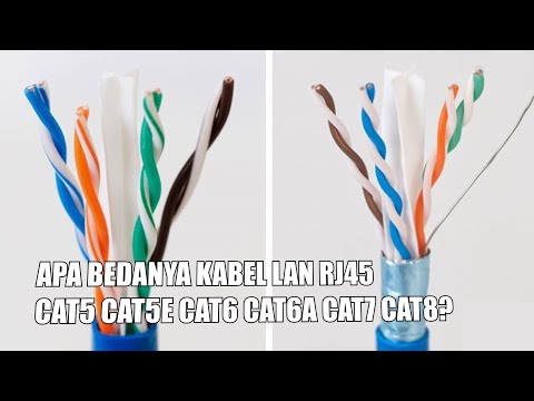 Cat5 Cat5e Cat6 Cat6a Cat7 Cat8 Apa Sih? Di Kabel Lan RJ45