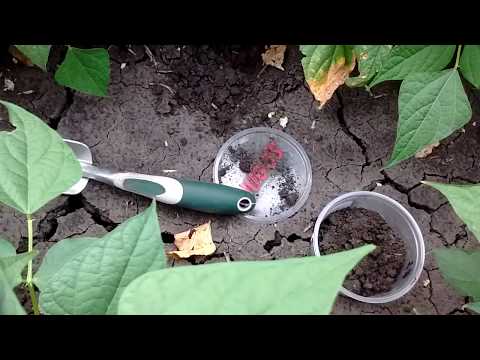Northern North Dakota Soil Electrical Conductivity Experiment (Sampling – 3) – Close View