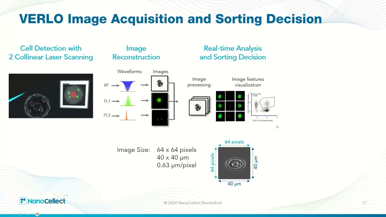 VERLO: The Future of Image Guided Cell Sorting