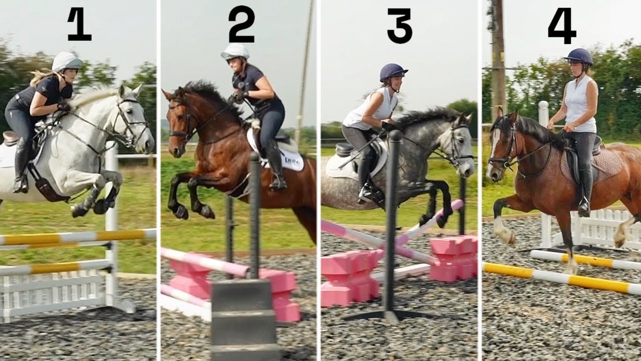 JUMPING LESSONS GALORE (4 ponies)