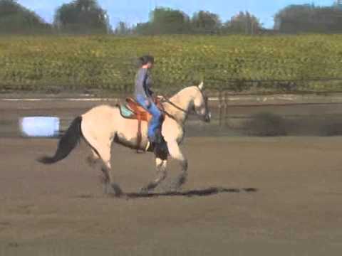 C:\Documents and Settings\Administrator\My Documents\My Videos\tuf 11 20 10 dry work.wmv