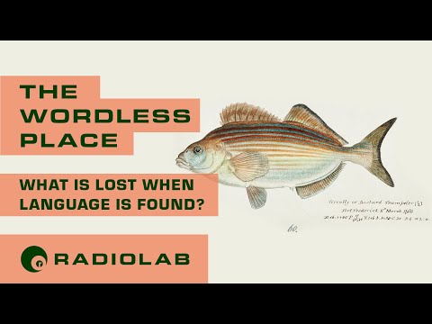 The Wordless Place | Radiolab Podcast