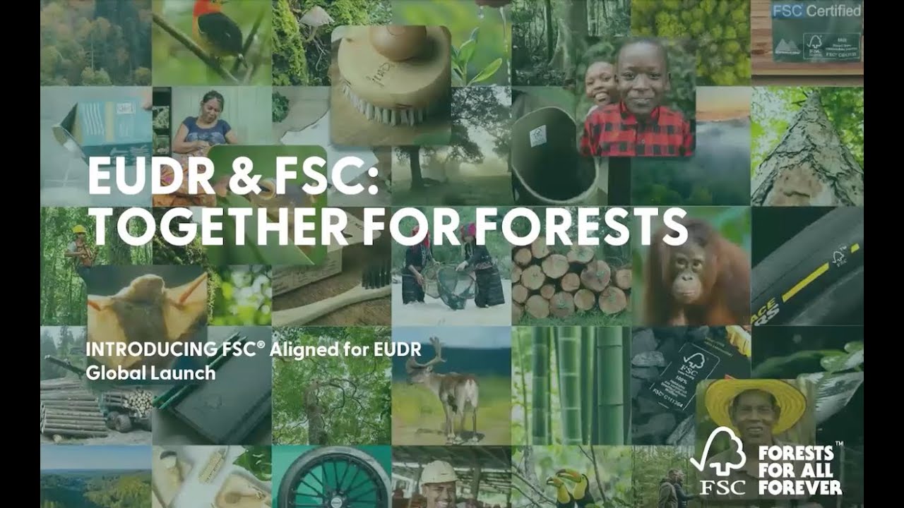 Introducing FSC Aligned for EUDR - Global Launch