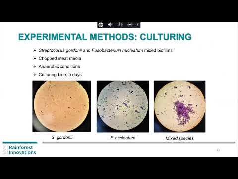 The Use of Iron-Containing Nanomaterials as Antimicrobial Agents