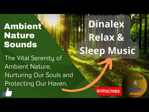 🌿Relaxing Meadow with Ambient Nature Sounds-🌿Relaxing Meadow Nature Sounds-Ambient Nature Relaxation