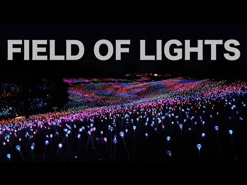 Sensorio Field of Light | Paso Robles, CA