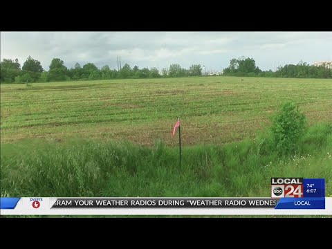Medical marijuana expected to be sold in Arkansas in just weeks