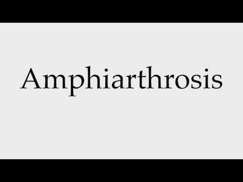 How to Pronounce Amphiarthrosis