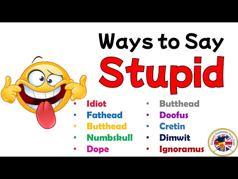 Ways to Say Stupid, Different Ways to Say Stupid