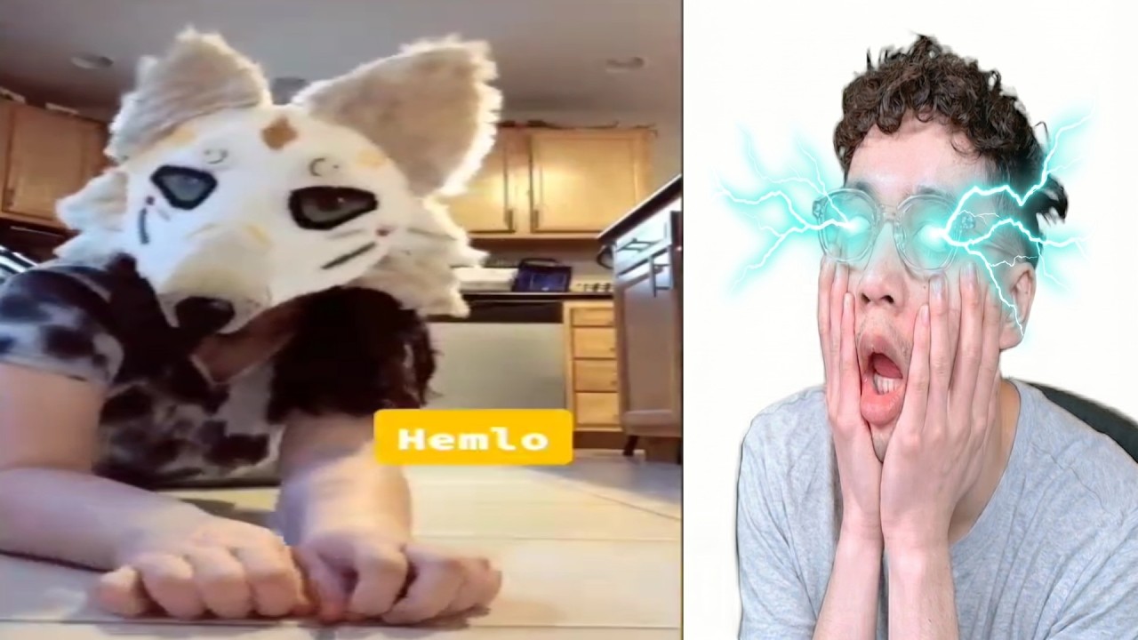Try Not To Cringe: TikTok Therians