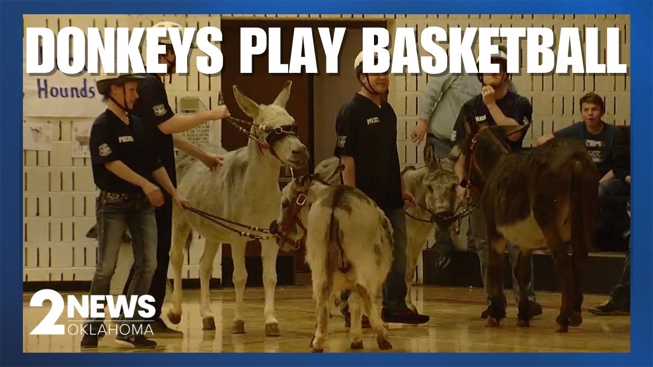 Donkey Basketball Game to raise money for Adult Day Center