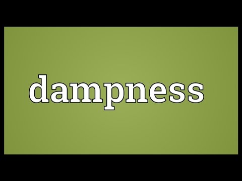 Dampness Meaning