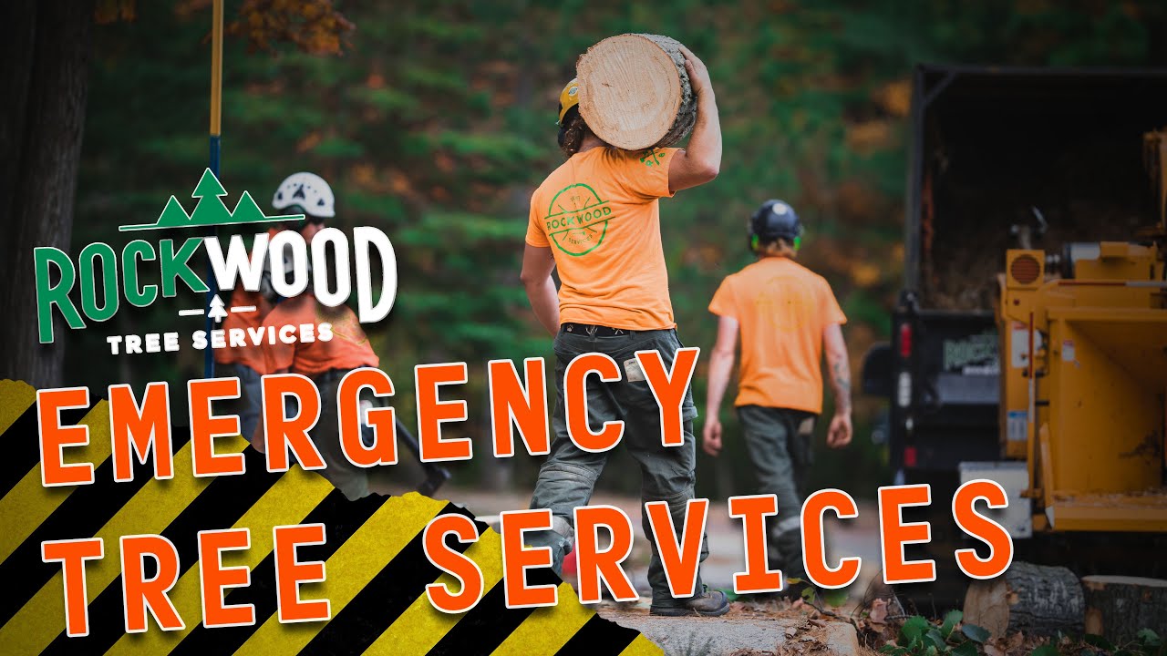 24 HR - Emergency Tree Services | Southern Ontario | Provided By Rockwood Tree Service