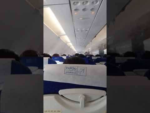 Indigo flight 6E 316 Cabin view #Shorts
