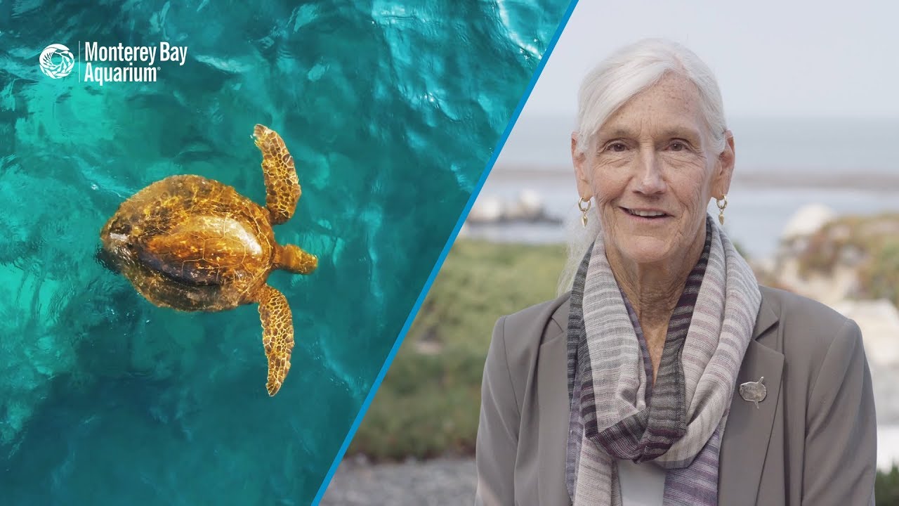 Julie Packard, Executive Director | Seafood Watch