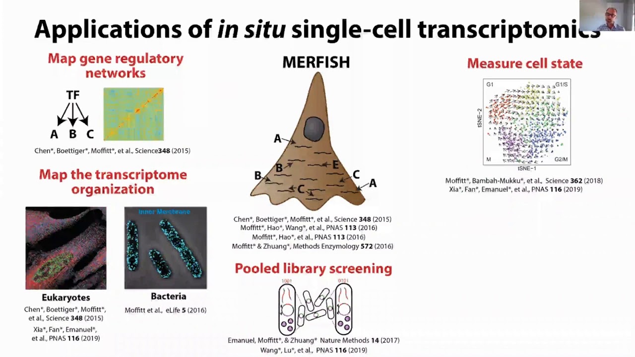 Mapping Tissues with In Situ Single-Cell Transcriptomics