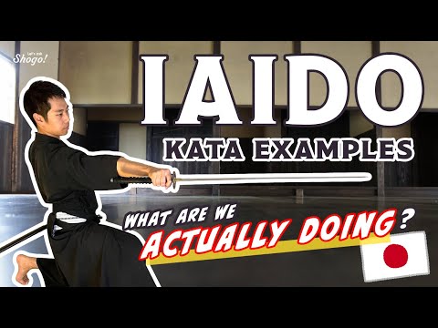 3 IAIDO Kata Demonstrations and What Each Movement Means | Introductory Katana Training for Starters