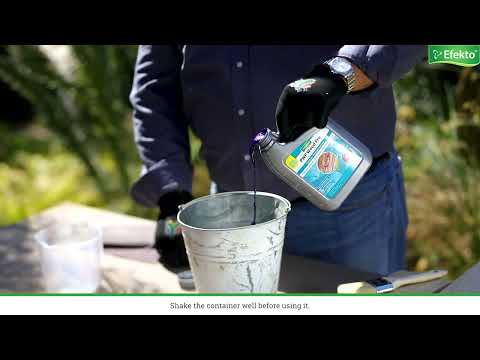 Efekto PWP Wood Pro step-by-step how to use