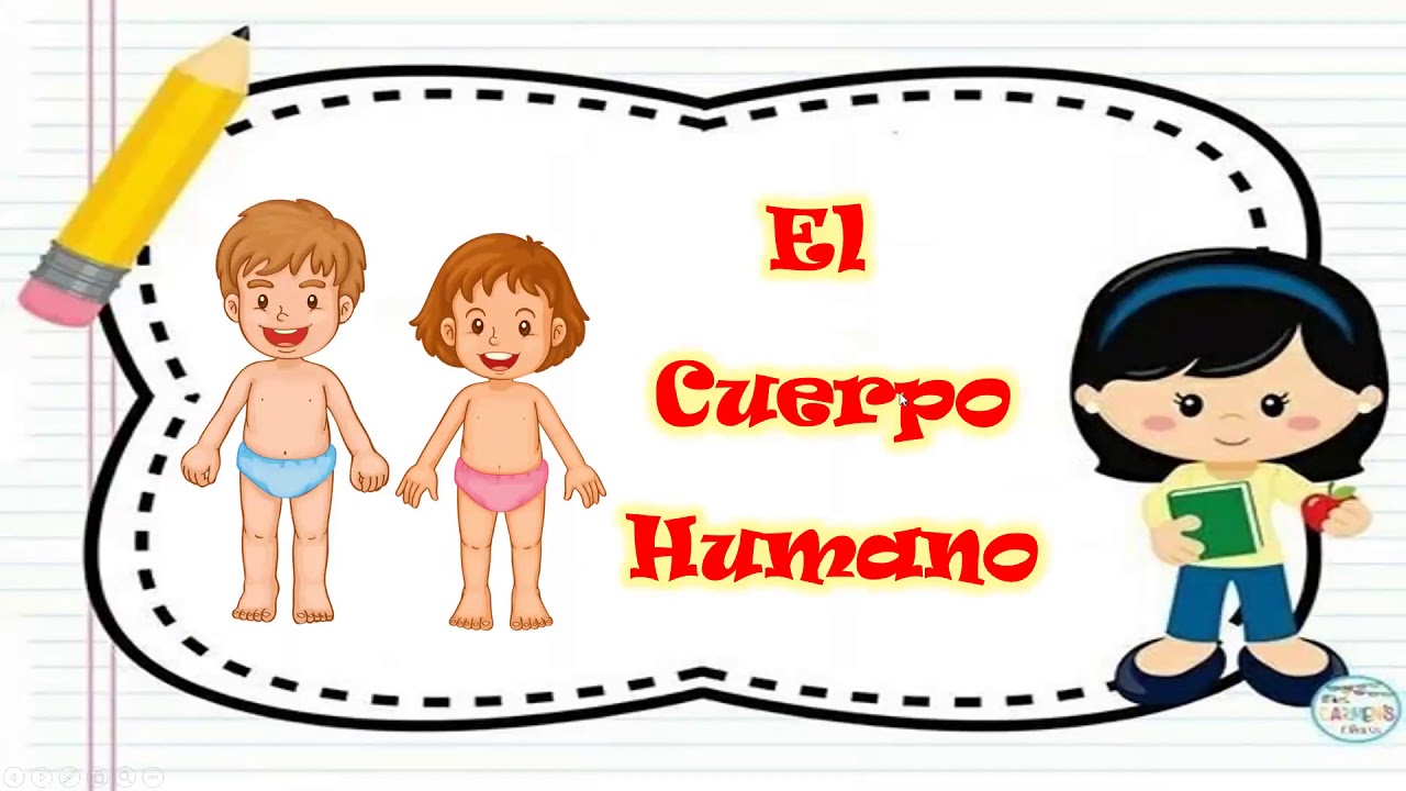 El cuerpo humano