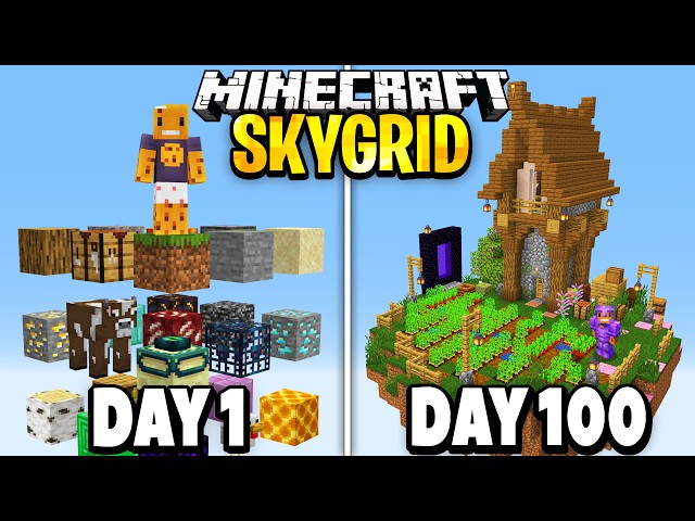 What is Sky Grid in Minecraft?
