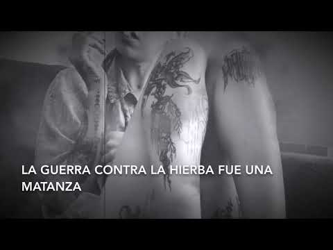 Tribal Seeds - Aroma ( Subtitulada Español )