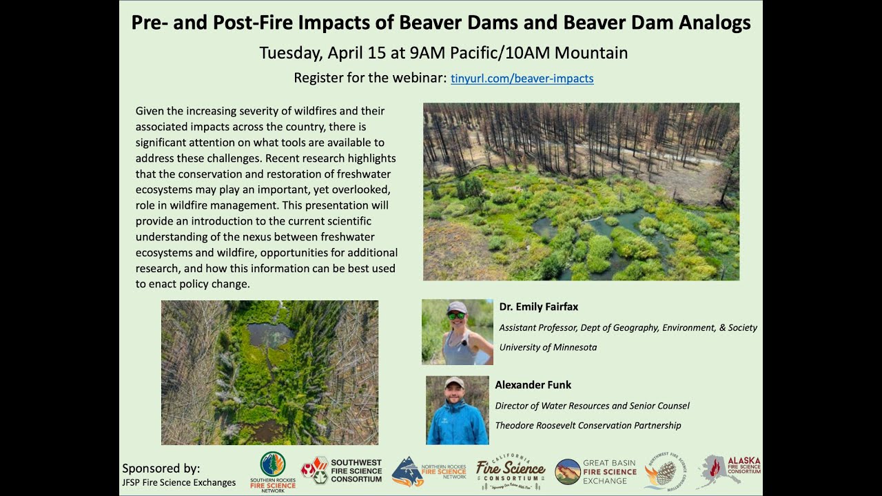Pre- and Post-Fire Impacts of Beaver Dams and Beaver Dam Analogs