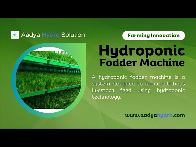 Hydroponic Fodder Machine - Hydroponic Green Fodder Machine ...
